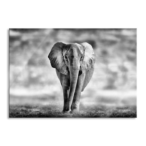 Brayden Studio Glasbild Einsamer Elefant | Wayfair.de